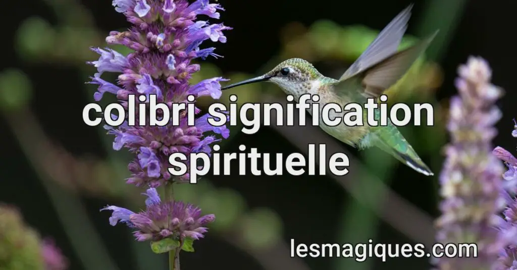 Colibri Signification Spirituelle & Symbolisme