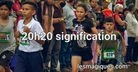20H20 Signification De L'Heure Miroir