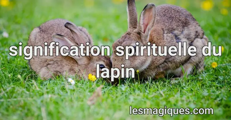 Lapin Signification Spirituelle & Symbolisme
