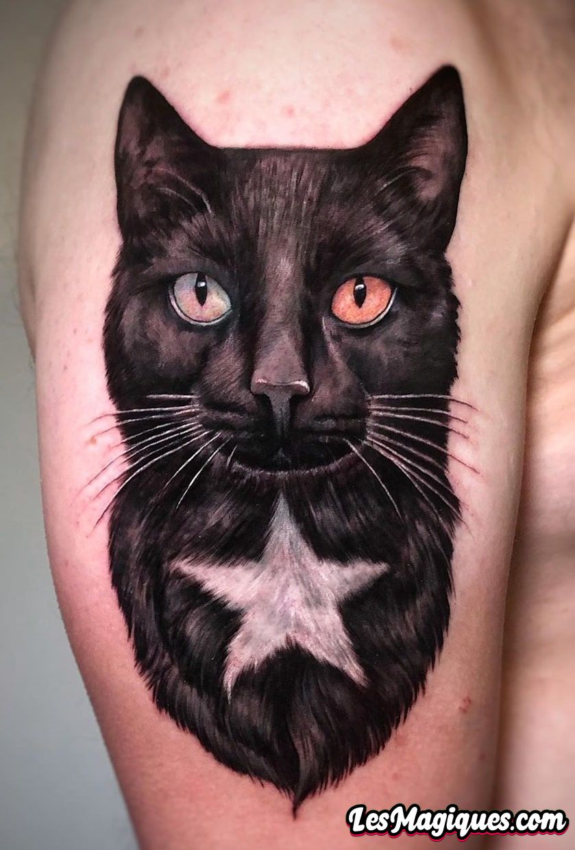 50 Tatouages De Chat Pour Immortaliser Votre Compagnon