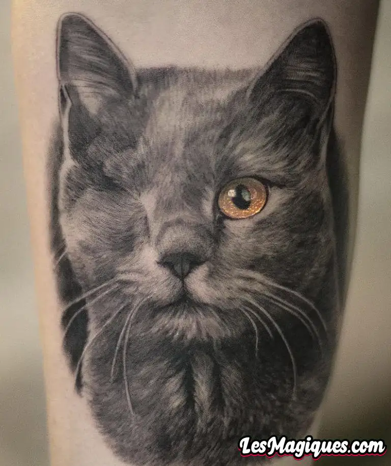 50 Tatouages De Chat Pour Immortaliser Votre Compagnon
