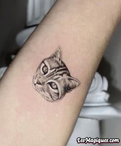 50 Tatouages De Chat Pour Immortaliser Votre Compagnon