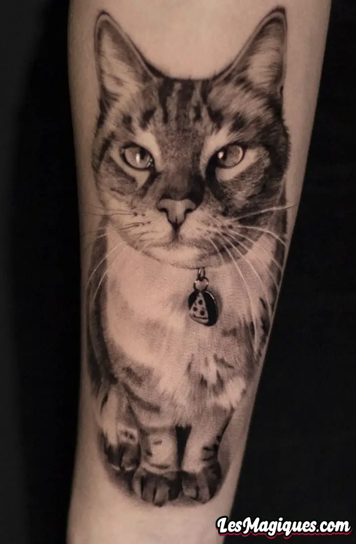 50 Tatouages De Chat Pour Immortaliser Votre Compagnon