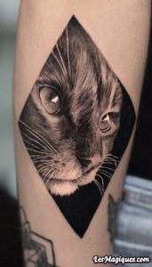 50 Tatouages De Chat Pour Immortaliser Votre Compagnon