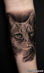 50 Tatouages De Chat Pour Immortaliser Votre Compagnon