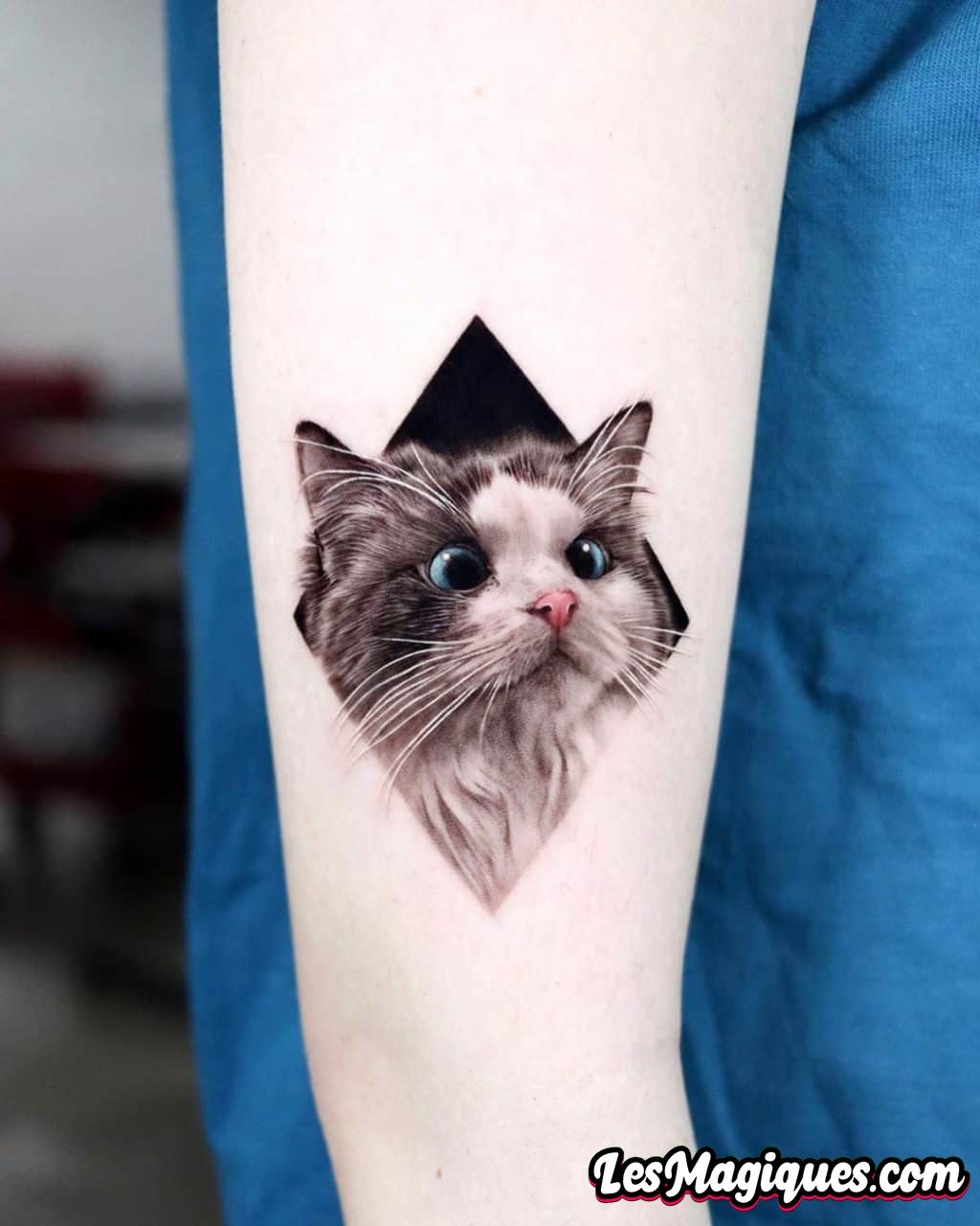50 Tatouages De Chat Pour Immortaliser Votre Compagnon