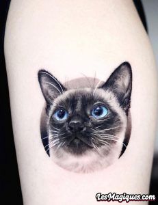 50 Tatouages De Chat Pour Immortaliser Votre Compagnon