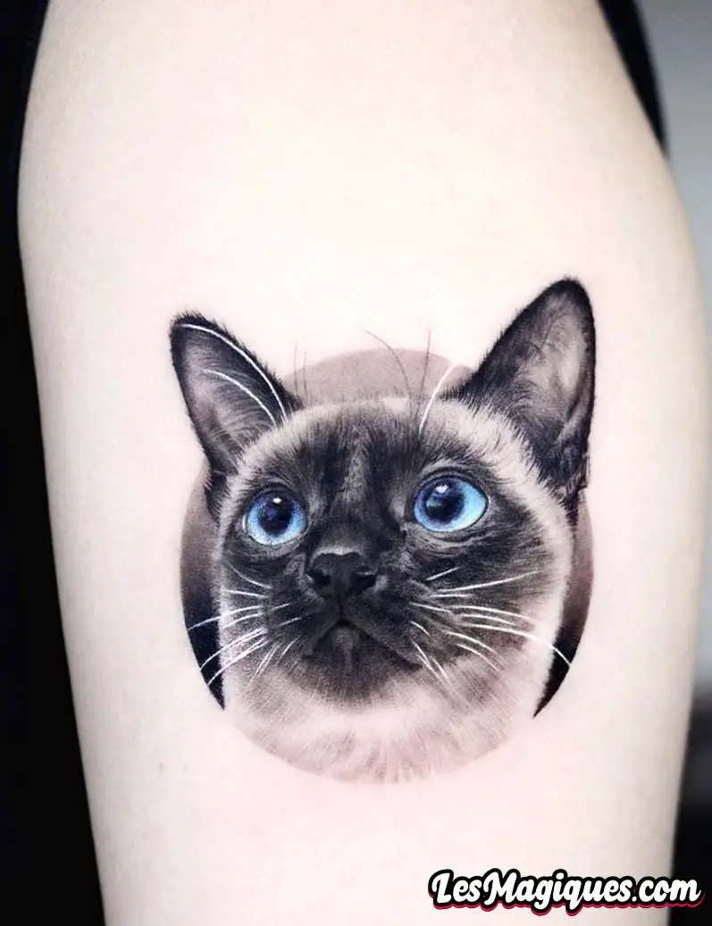 50 Tatouages De Chat Pour Immortaliser Votre Compagnon