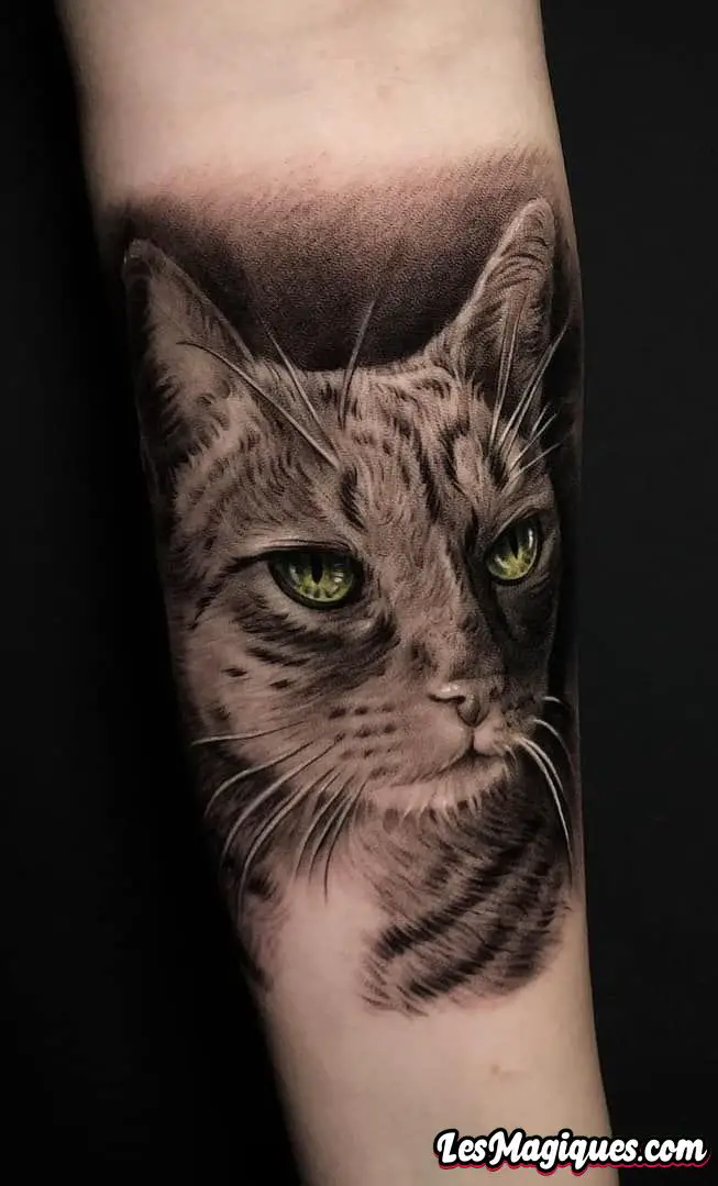 50 Tatouages De Chat Pour Immortaliser Votre Compagnon