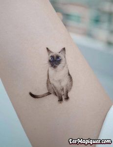 50 Tatouages De Chat Pour Immortaliser Votre Compagnon