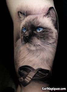 50 Tatouages De Chat Pour Immortaliser Votre Compagnon