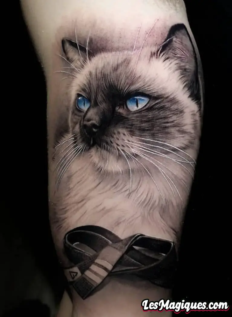 50 Tatouages De Chat Pour Immortaliser Votre Compagnon